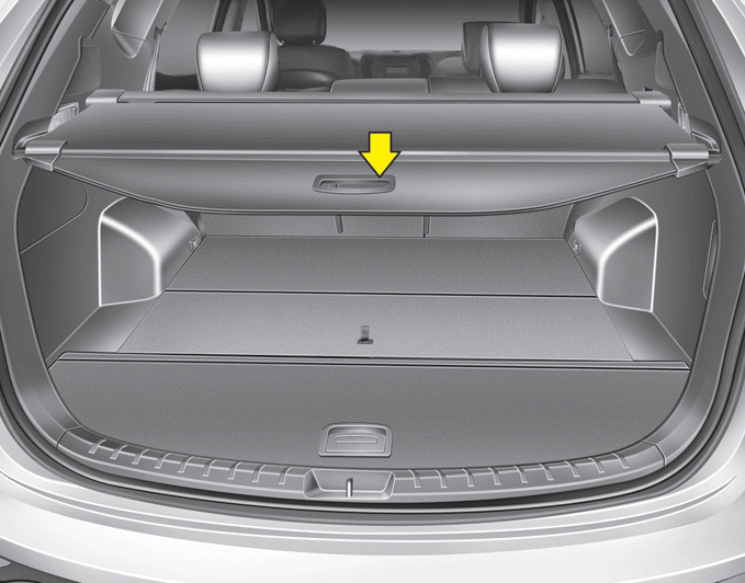 Hyundai Santa Fe: Cargo security screen - Interior features - Features ...